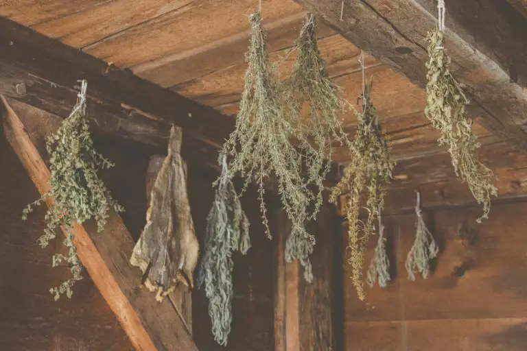 9 Methods Of Food Preservation In Ancient Time That Still Exists Dry Food Craze