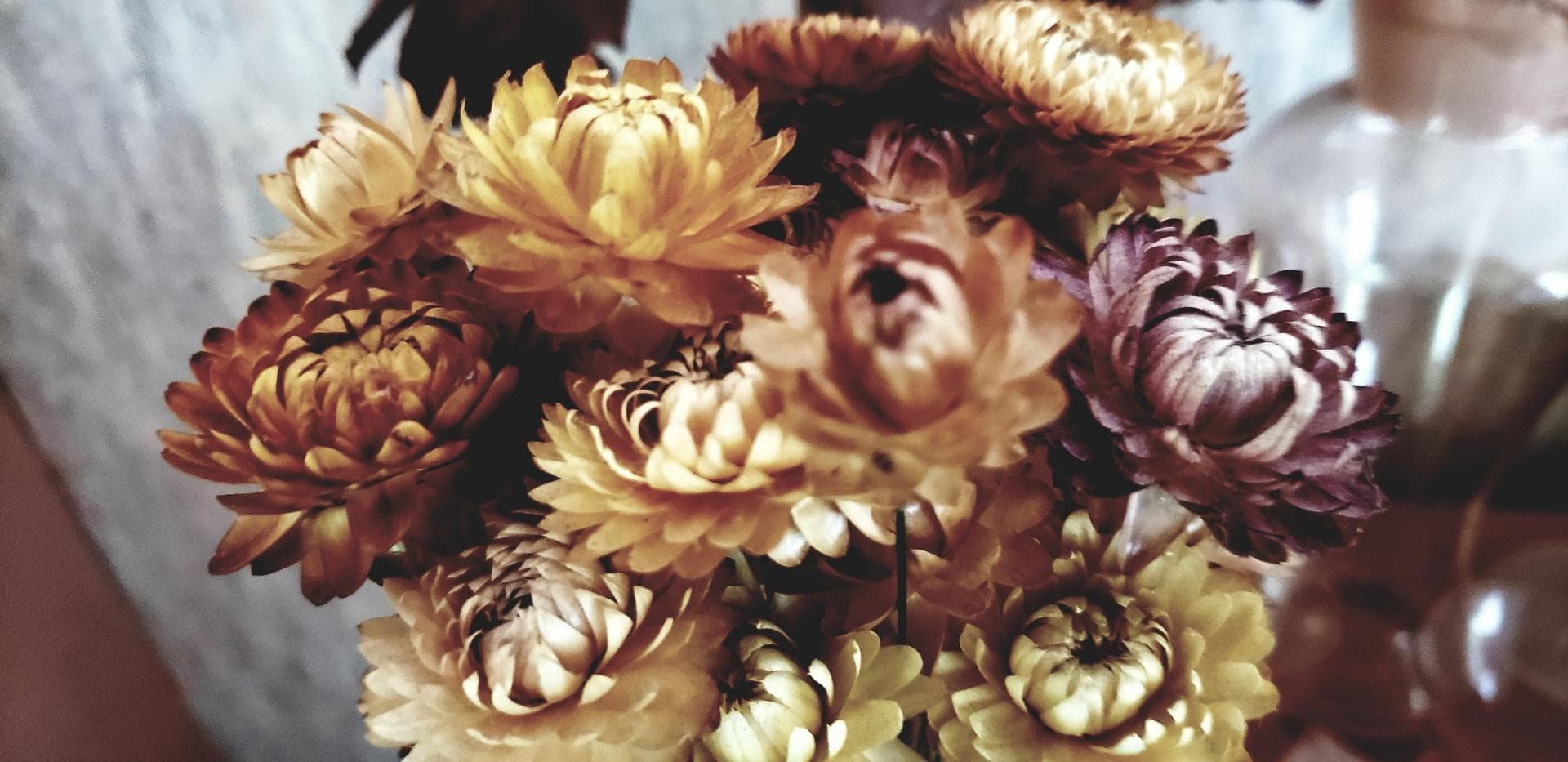 Dried Flowers A Beginner s Guide Dry Food Craze